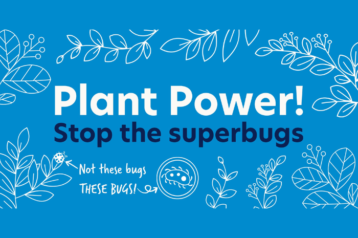 Guided Walk through Oxford Botanic Garden | Reuben College