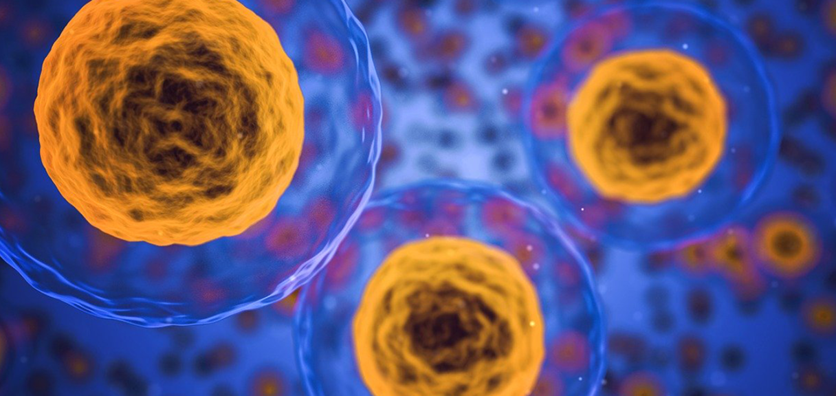 Cellular Life | Reuben College